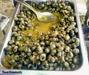 Food: A Perfect Window for Understanding Nepali Communities - Travel Nepal